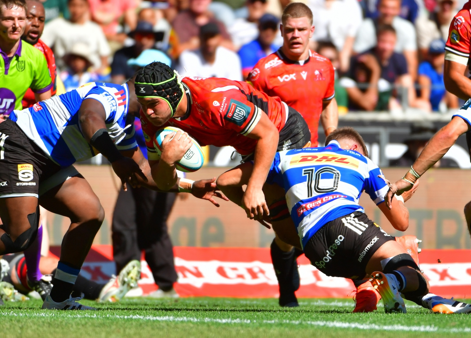 URC Round 12 - Lions v Stormers value bet - AfricaPicks